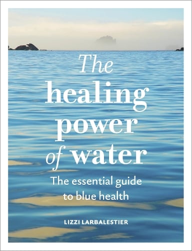 The Healing Power of Water by Lizzi Larbalestier, Dominick Tyler ...