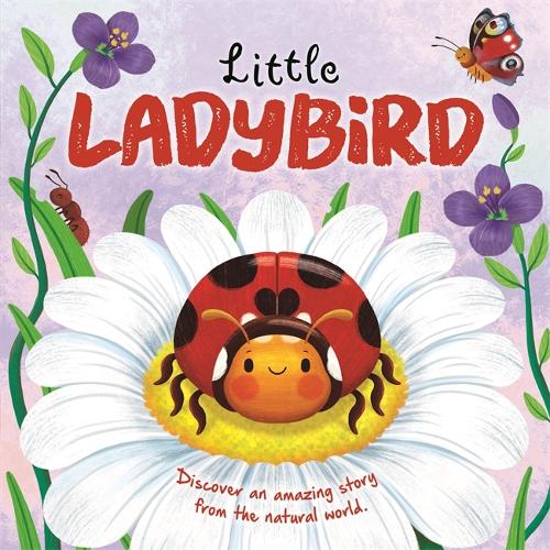 Little Ladybird by Autumn Publishing | Waterstones