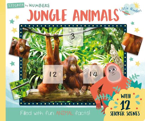 Jungle Animals by Isabel Aniel | Waterstones