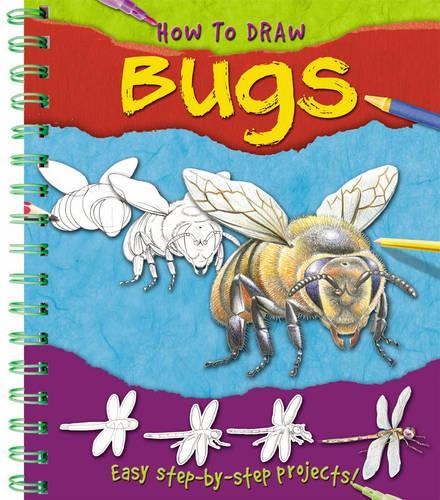 How to Draw Bugs by Lisa Regan | Waterstones