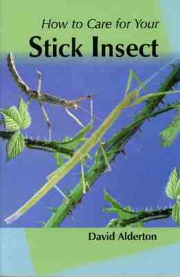How to Care for Your Stick Insect by David Alderton | Waterstones