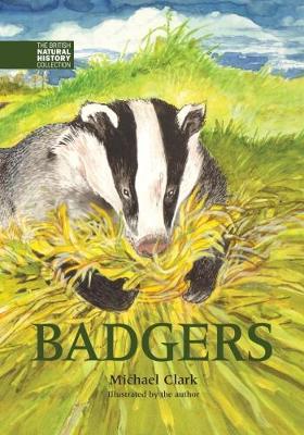 Badgers by Michael Clark | Waterstones