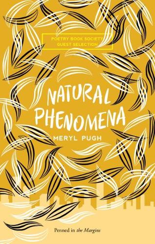 Natural Phenomena by Meryl Pugh | Waterstones
