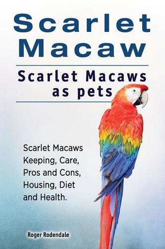 Scarlet Macaw. Scarlet Macaws as pets. Scarlet Macaws Keeping, Care ...