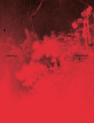 Broken Spectre by Richard Mosse, Txai Suruí | Waterstones