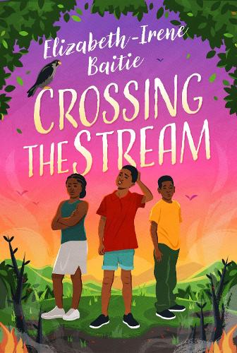 Crossing the Stream by Elizabeth-Irene Baitie | Waterstones
