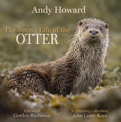 The Secret Life of the Otter by Andy Howard, Gordon Buchanan | Waterstones