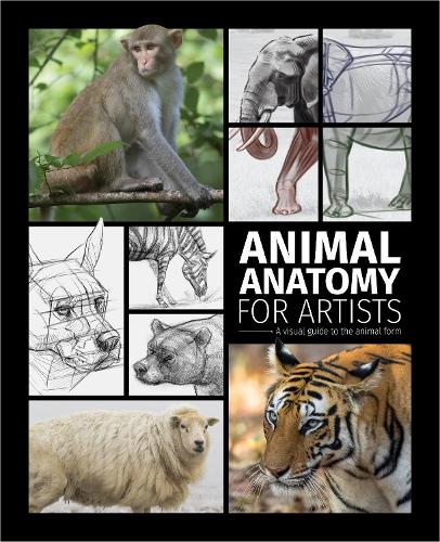 Animal Anatomy for Artists by 3dtotal Publishing, Joe Weatherly ...