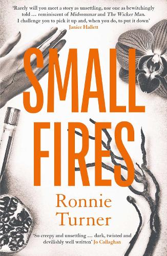 Small Fires by Ronnie Turner | Waterstones
