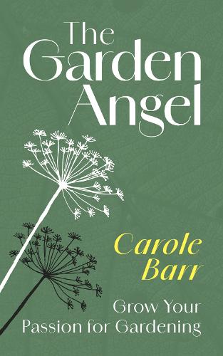 The Garden Angel by Carole Barr | Waterstones
