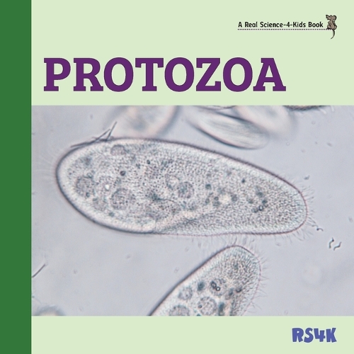 Protozoa by Rebecca Woodbury M Ed | Waterstones