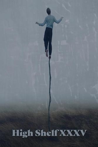 High Shelf XXXV by High Shelf Press | Waterstones