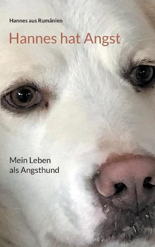 Hannes hat Angst by Hannes Aus Rum nien | Waterstones