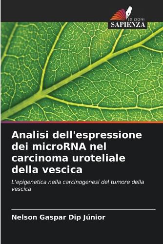 Analisi dell'espressione dei microRNA nel carcinoma uroteliale della ...