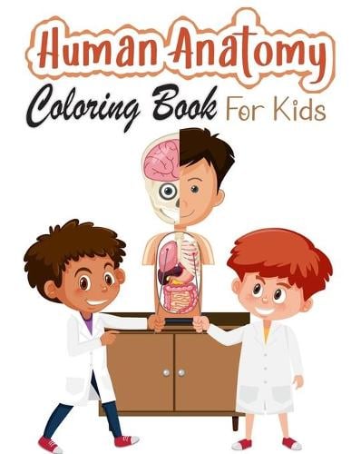 Human Anatomy Coloring Book for Kids by Polly Stokes | Waterstones