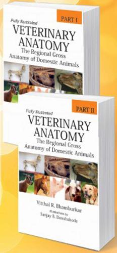 Veterinary Anatomy: The Regional Gross Anatomy of Domestic Animals ...