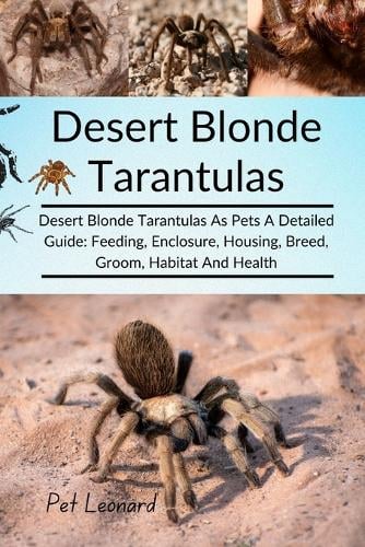 Desert Blonde Tarantulas by Pet Leonard | Waterstones