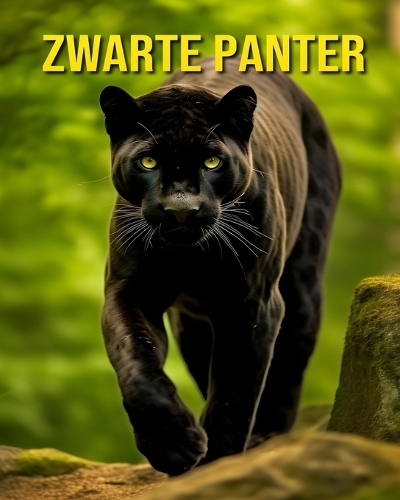 Zwarte Panter by Susan Pharo | Waterstones