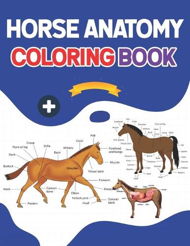Horse Anatomy Coloring Book by Sarkaiylone Publication | Waterstones
