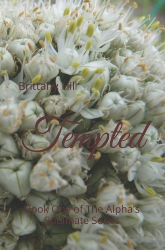 Tempted by Brittany Erica Hill | Waterstones