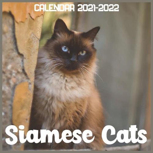 Siamese Cats Calendar 2021-2022 by Midras Pubav | Waterstones