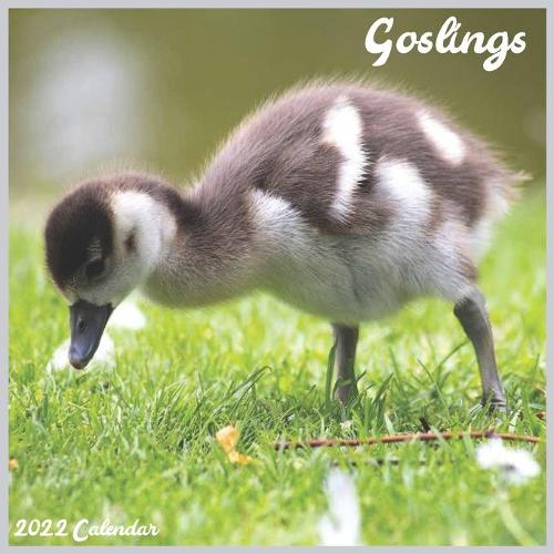 Goslings 2022 Calendar by Monthly Calendars 2022 | Waterstones