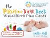 The Positive Birth Book Visual Birth Plan Cards by Milli Hill, Kate ...