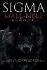 Sigma Male Bible by Will Wilde | Waterstones
