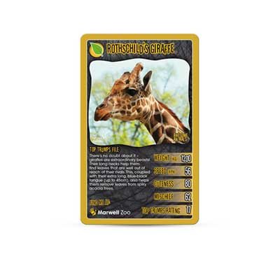 Awesome Animals Top Trumps | Waterstones