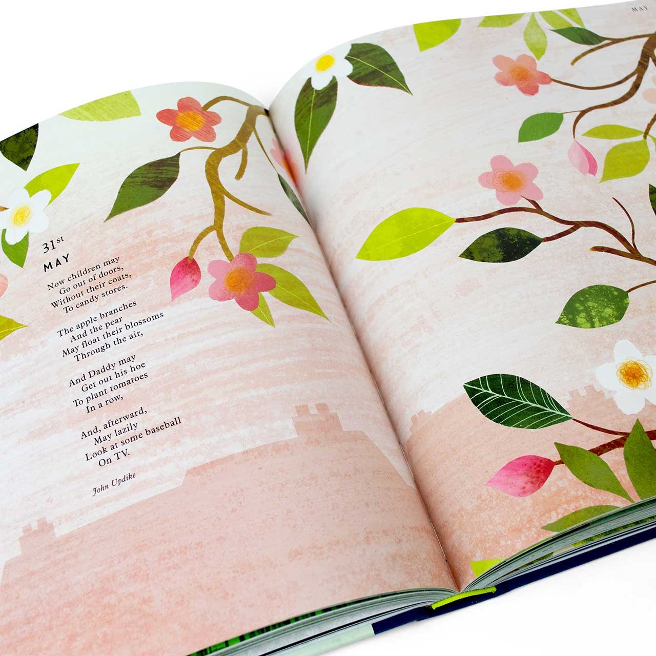 National Trust: I Am the Seed That Grew the Tree, A Nature Poem for ...