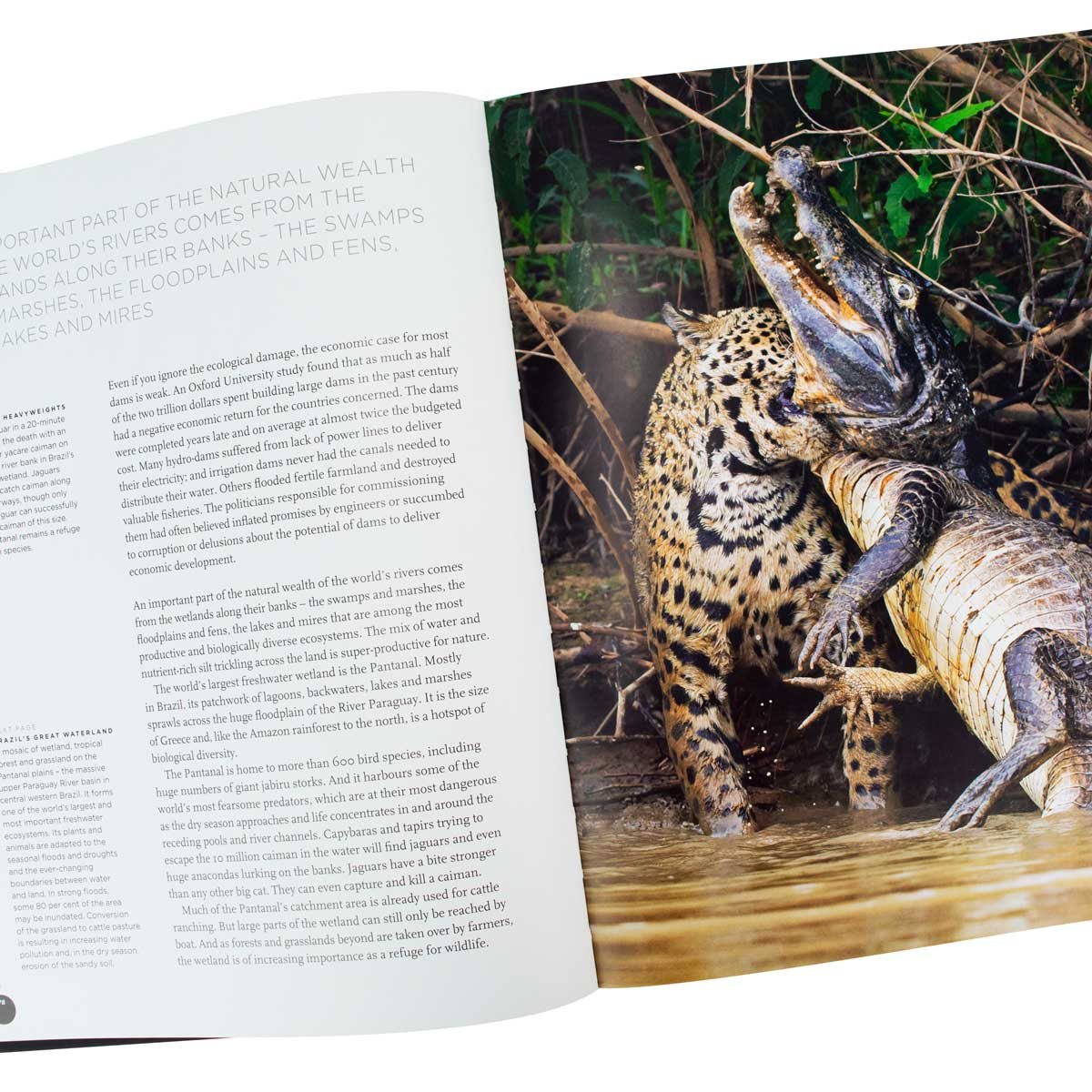 Our Planet | Waterstones