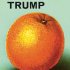 A Ladybird Book About Donald Trump by Jason Hazeley, Joel Morris ...