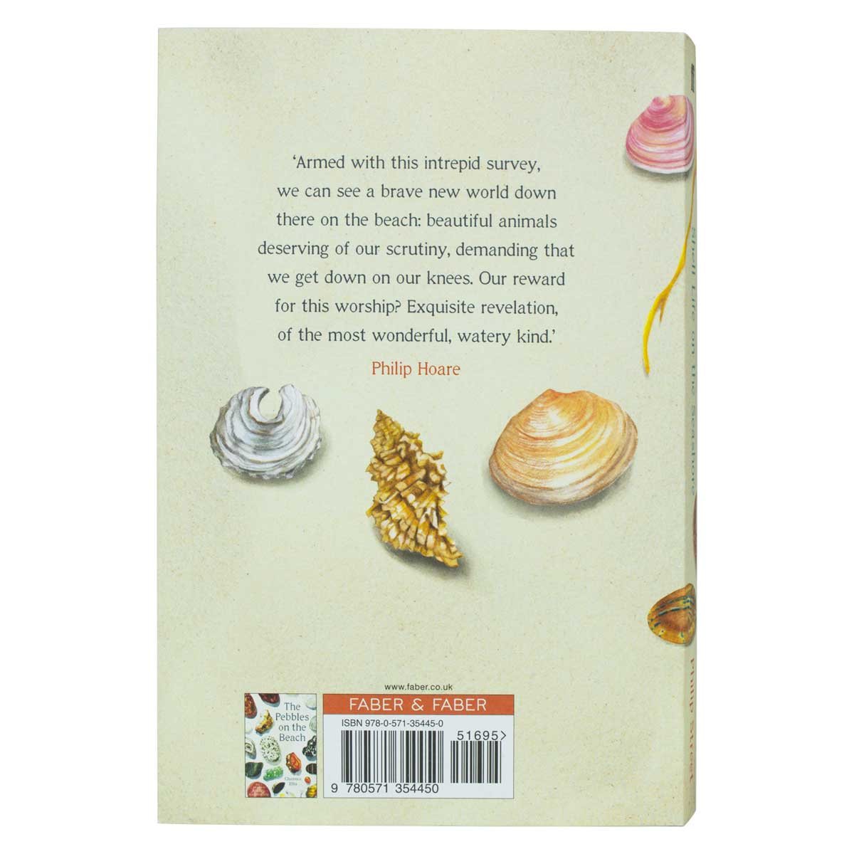 Shell Life on the Seashore by Philip Street | Waterstones