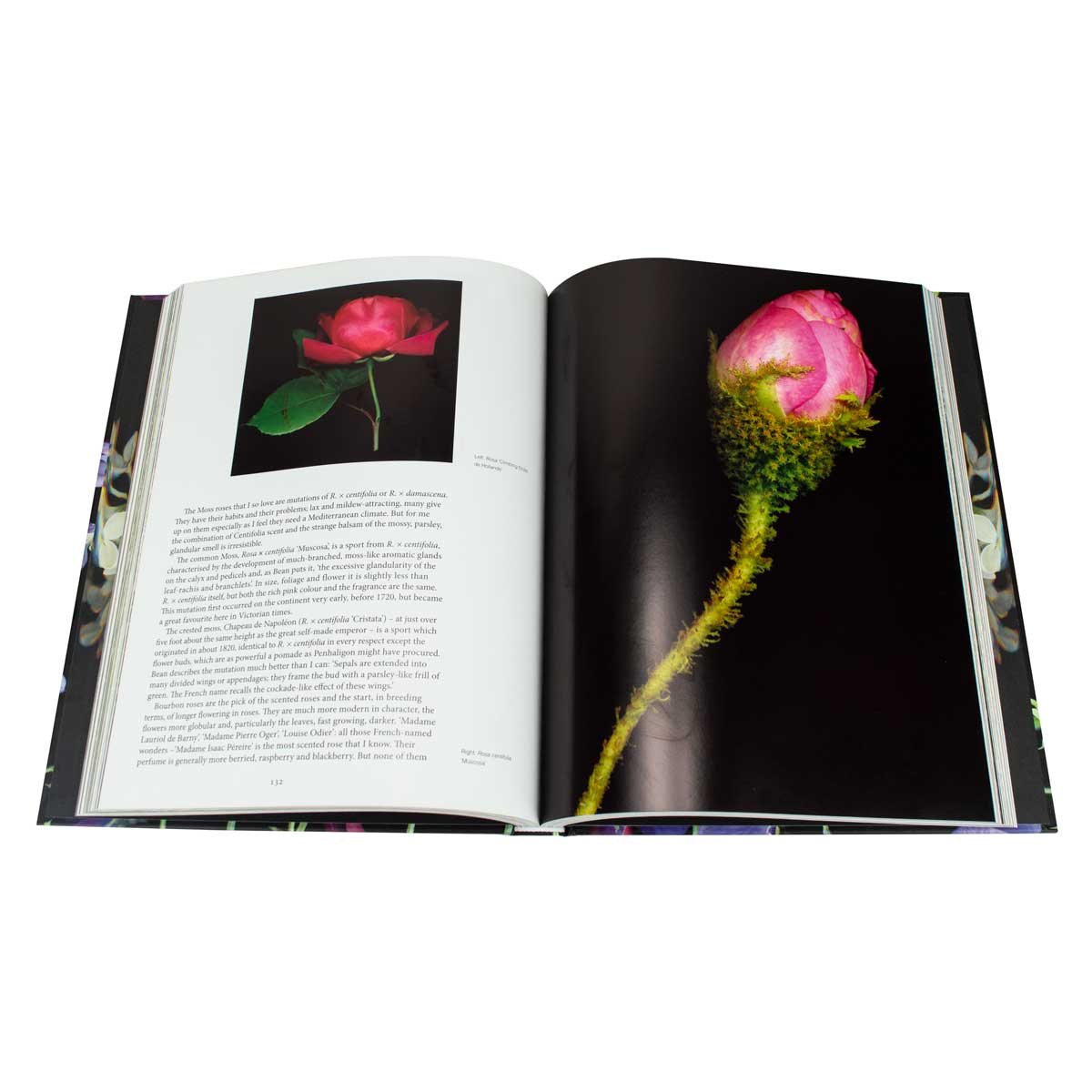 Scent Magic by Isabel Bannerman, Richard E. Grant | Waterstones