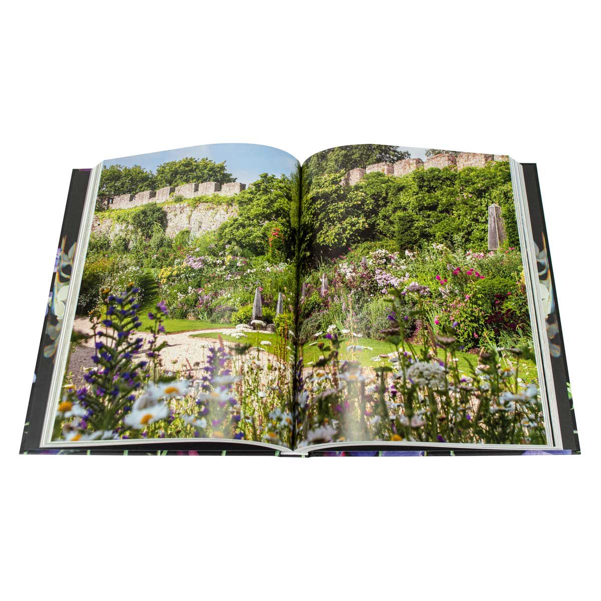 Scent Magic by Isabel Bannerman, Richard E. Grant | Waterstones