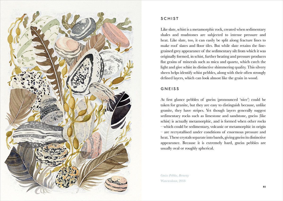 The Book of Pebbles by Christopher Stocks, Angie Lewin | Waterstones