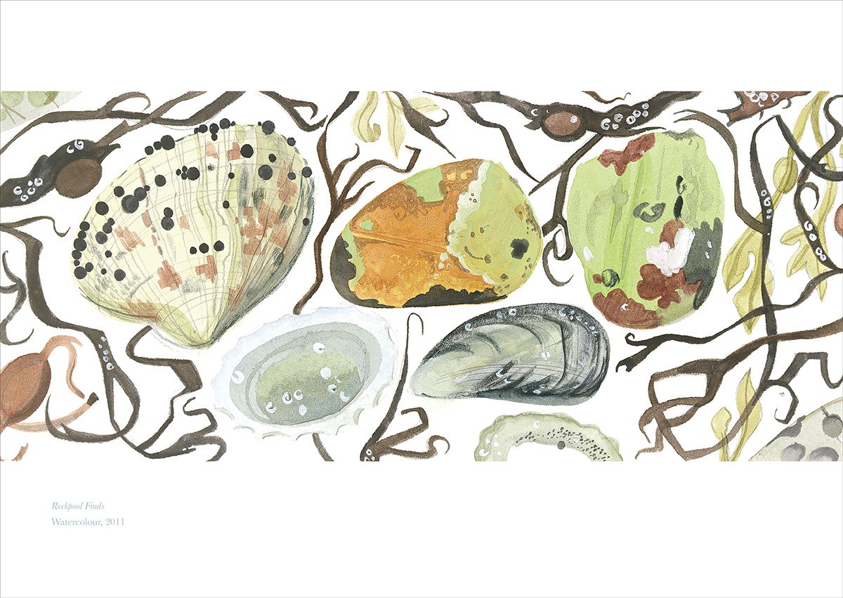 The Book of Pebbles by Christopher Stocks, Angie Lewin | Waterstones