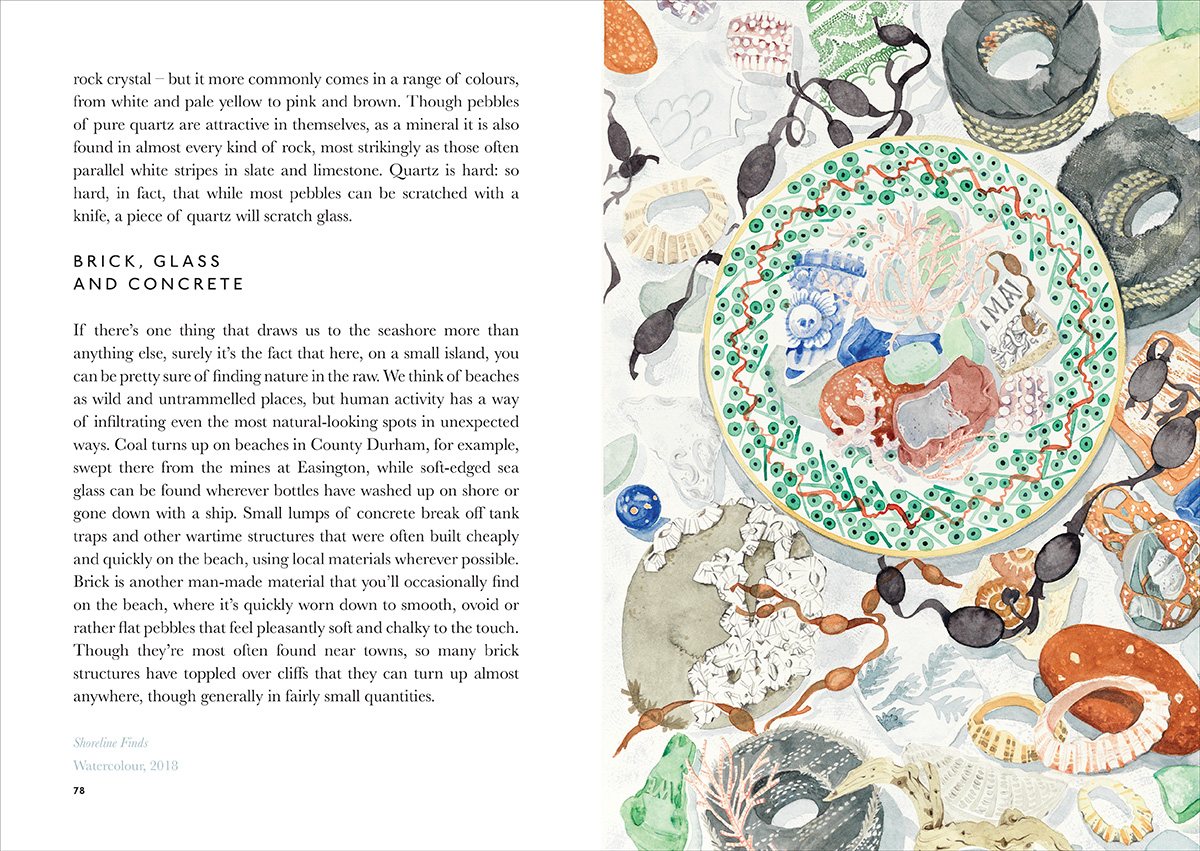 The Book of Pebbles by Christopher Stocks, Angie Lewin | Waterstones