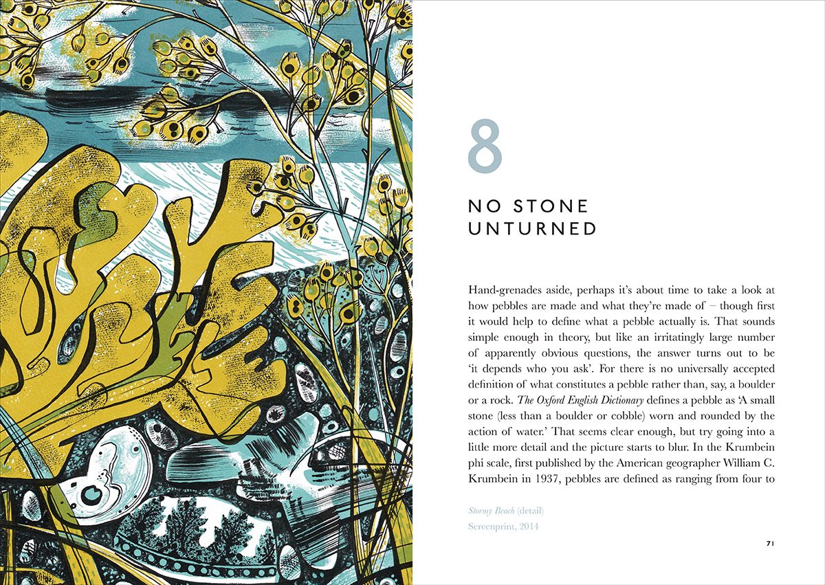 The Book of Pebbles by Christopher Stocks, Angie Lewin | Waterstones