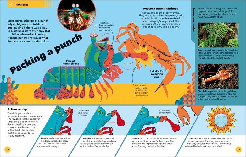 Wild Scientists by Steve Mould | Waterstones