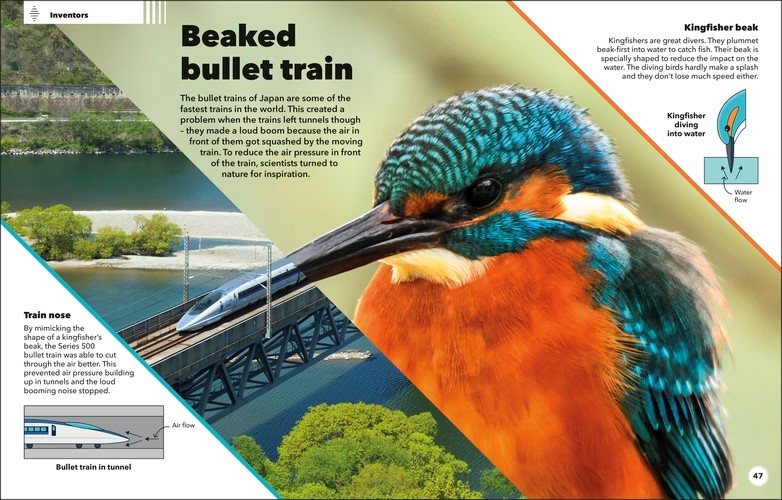 Wild Scientists by Steve Mould | Waterstones