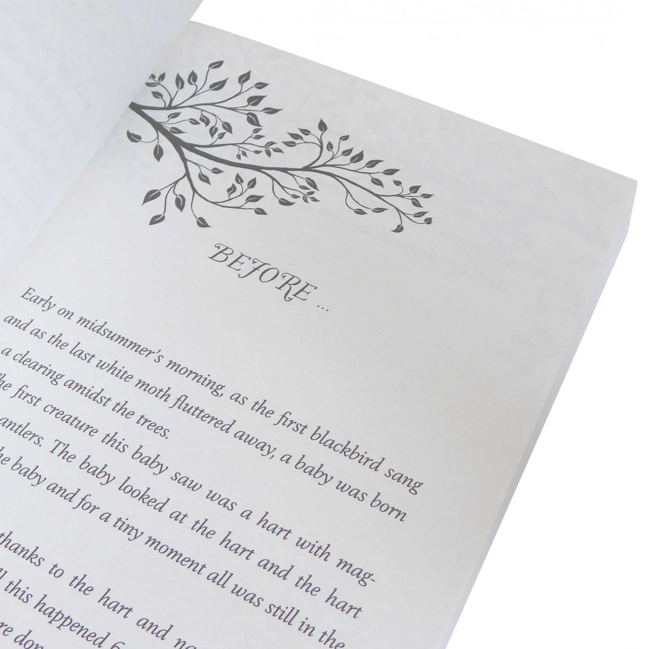 The Wild Way Home by Sophie Kirtley | Waterstones