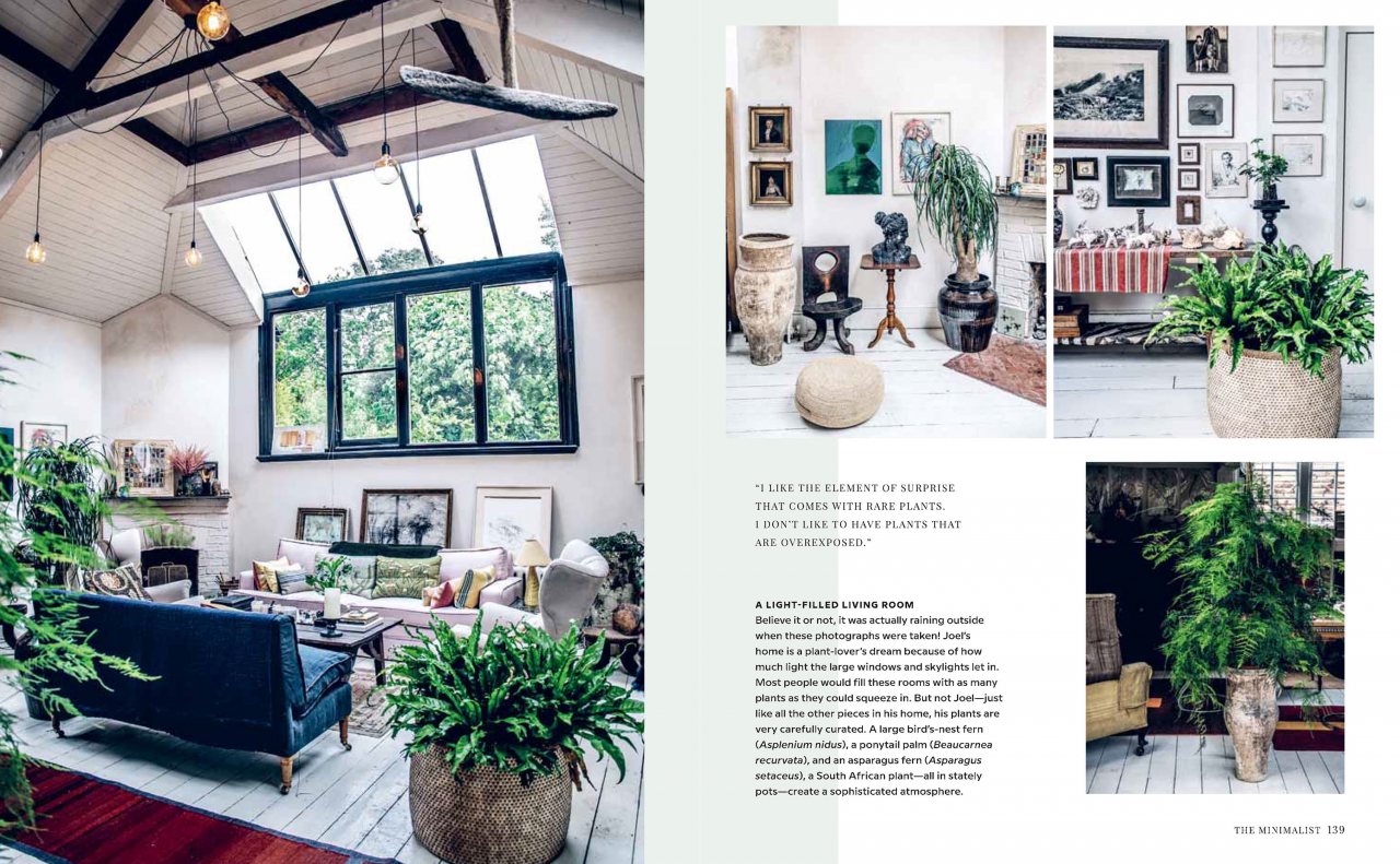 Wild Interiors by Hilton Carter | Waterstones