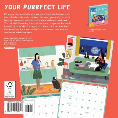 2021 Crazy Cat Lady Mini Wall Calendar by Agnes Loonstra, Ester ...