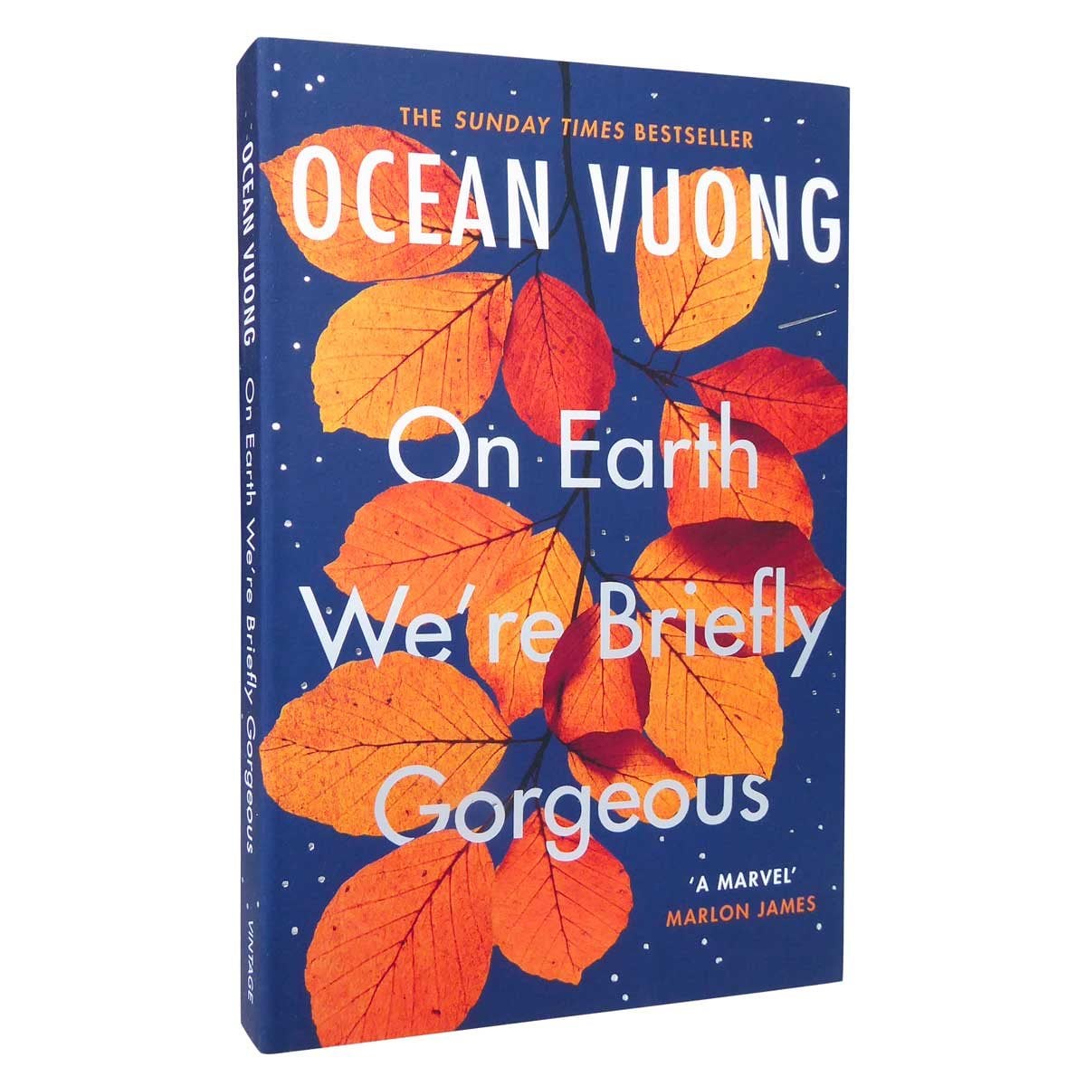On Earth We're Briefly Gorgeous by Ocean Vuong | Waterstones
