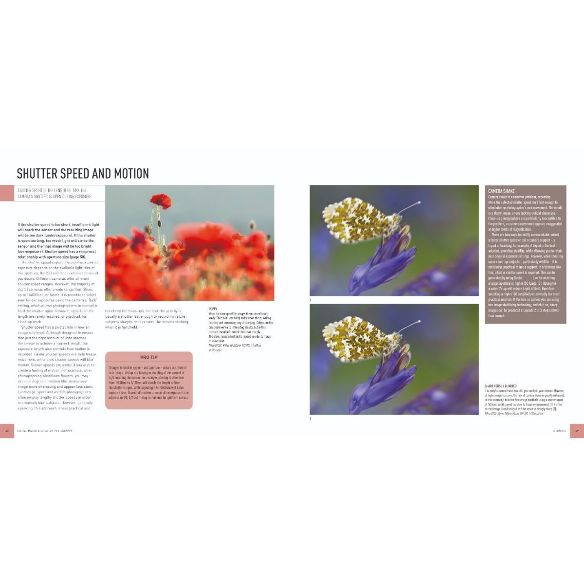 Digital Macro & Close-up Photography (new edition) by Ross Hoddinott ...