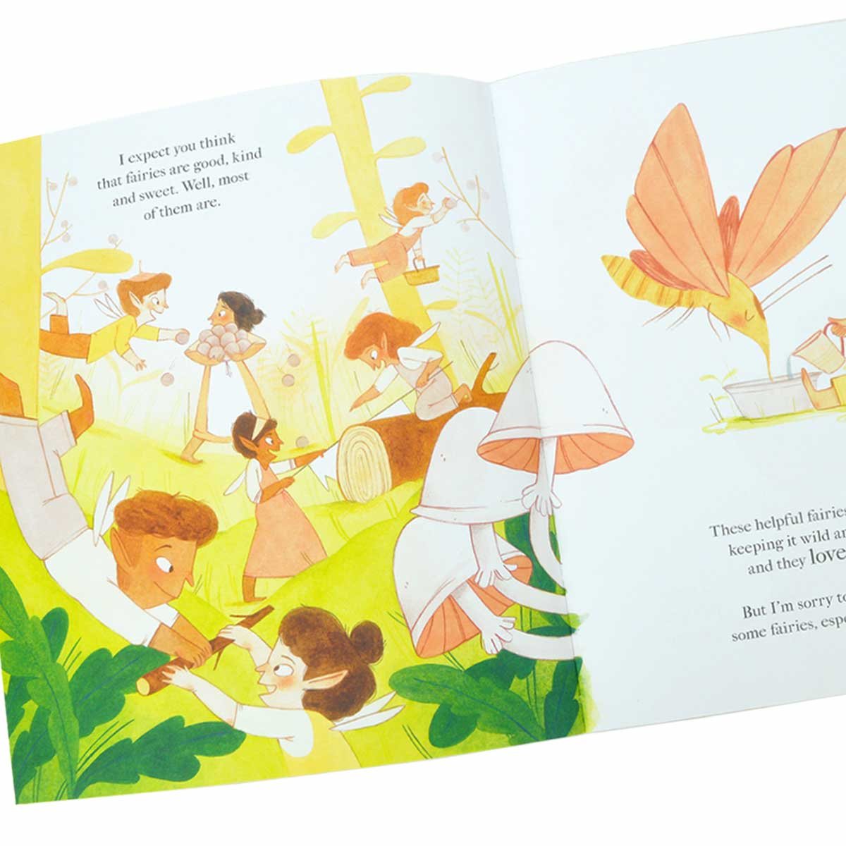 The Grumpy Fairies by Bethan Stevens | Waterstones