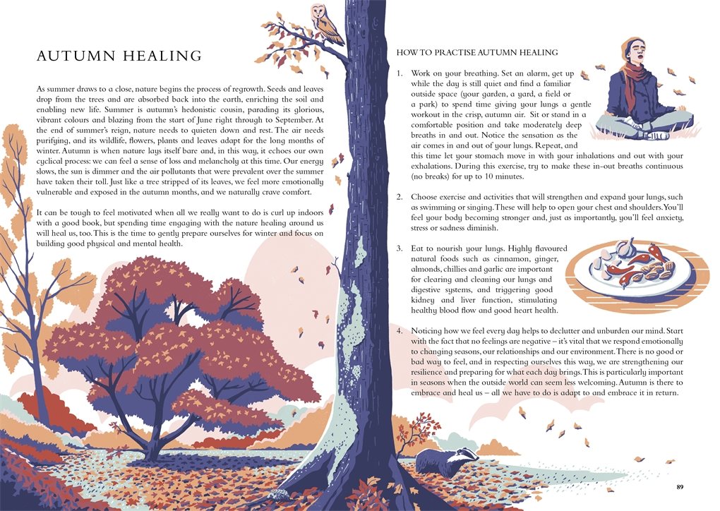 The Wild Handbook by Emily Thomas, James Weston Lewis | Waterstones