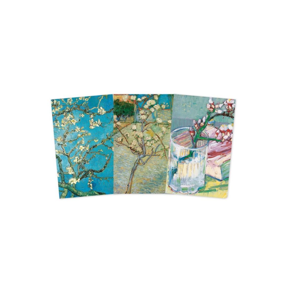 Almond Blossom Mini Notebook 3 Pack by Flame Tree Studio | Waterstones