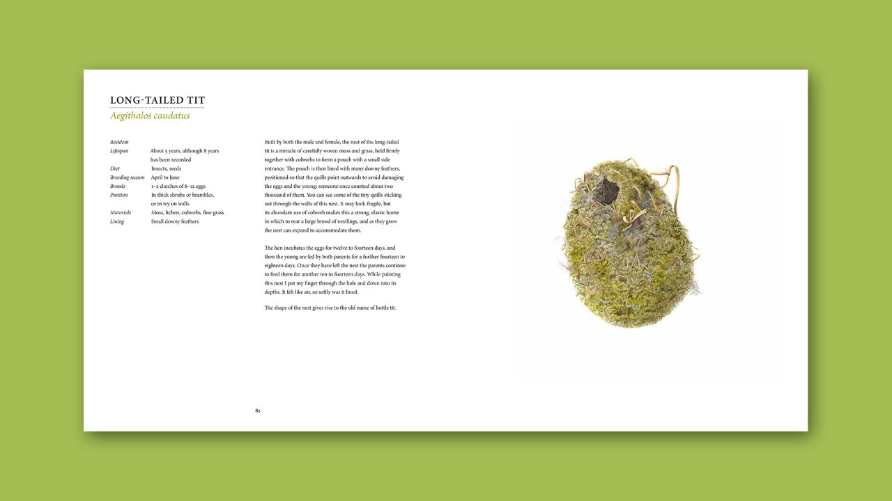 Nests by Susan Ogilvy | Waterstones